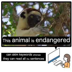 Naoto Nishida | 西田 直人