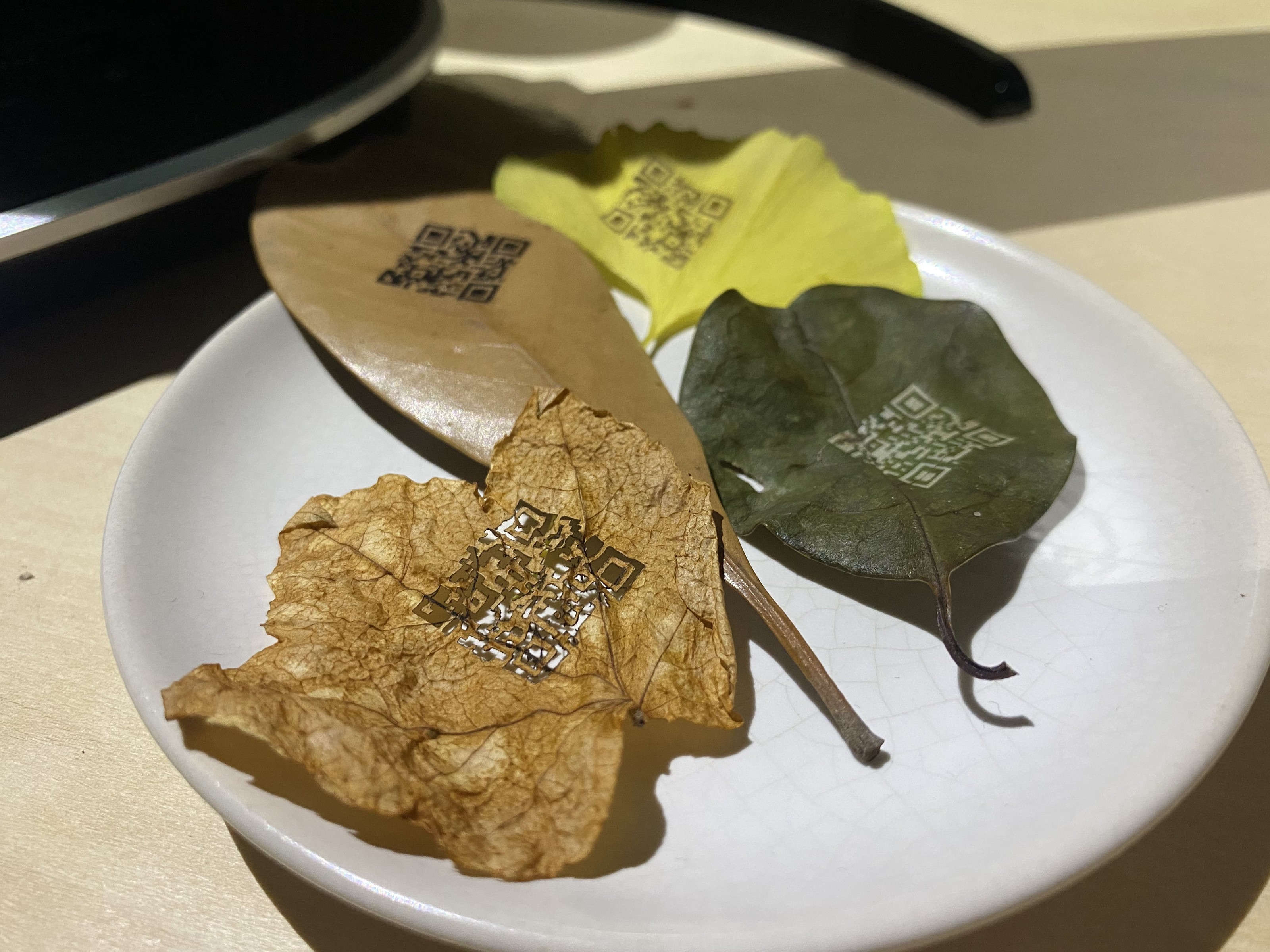 The way | Naoto Nishida